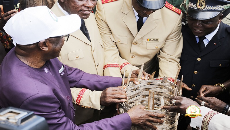 Koundara : la campagne de reboisement 2021 lancée | Guineeactuelle.com
